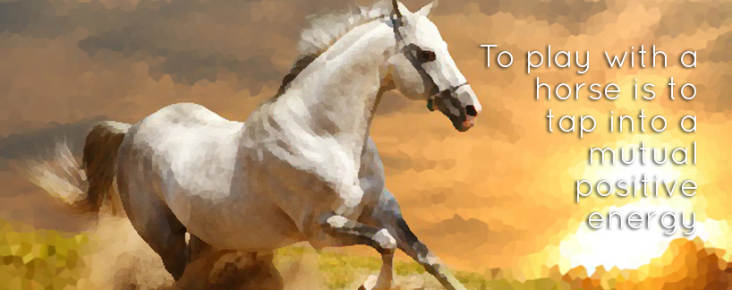 Holistic Equitation | Horsemanship Clinics | Relationship Clinics ...